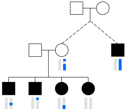 Estimating relationships by combining DNA from multiple siblings ...